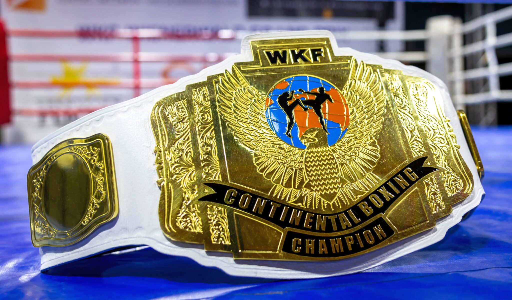 World Kickboxing Federation – WKF – we are the real global player